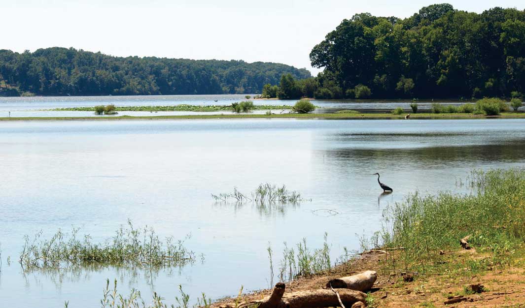 About the Blueway - Southern Virginia Wild Blueway